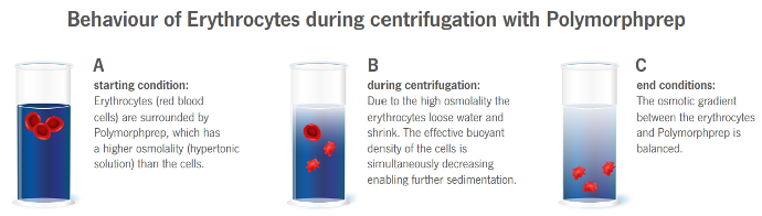Axis Shield Density Gradient Medica
